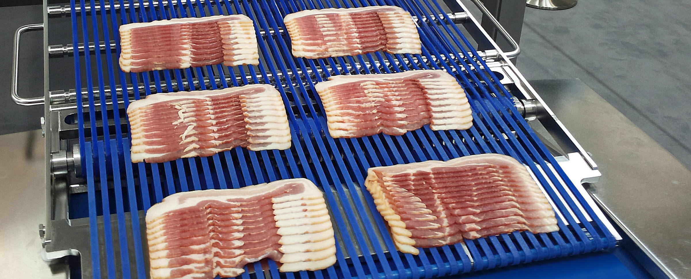 Round & V-belts - Ammeraal Beltech