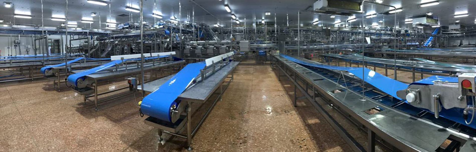 Soliflex - Ammeraal Beltech