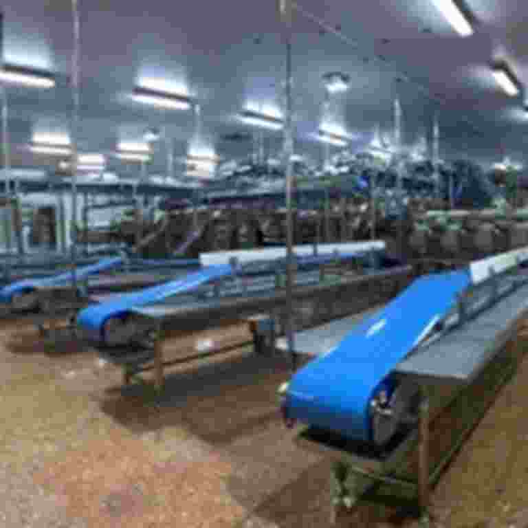 Dectyl - Food Safety Metal Detectable Synthetic Belts - Ammeraal Beltech