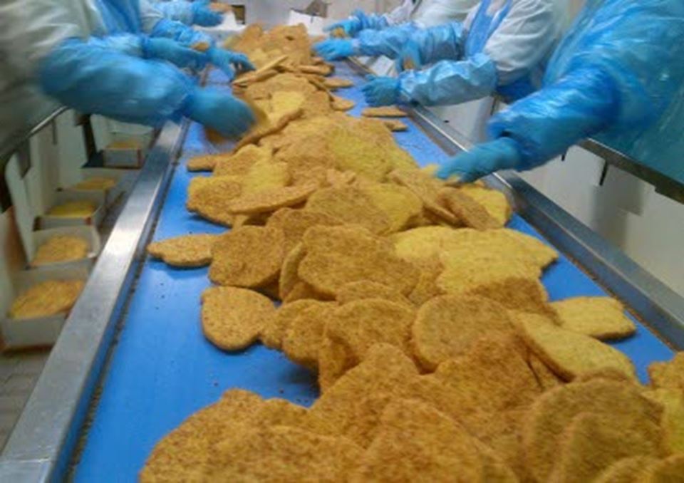 Soliflex - Ammeraal Beltech